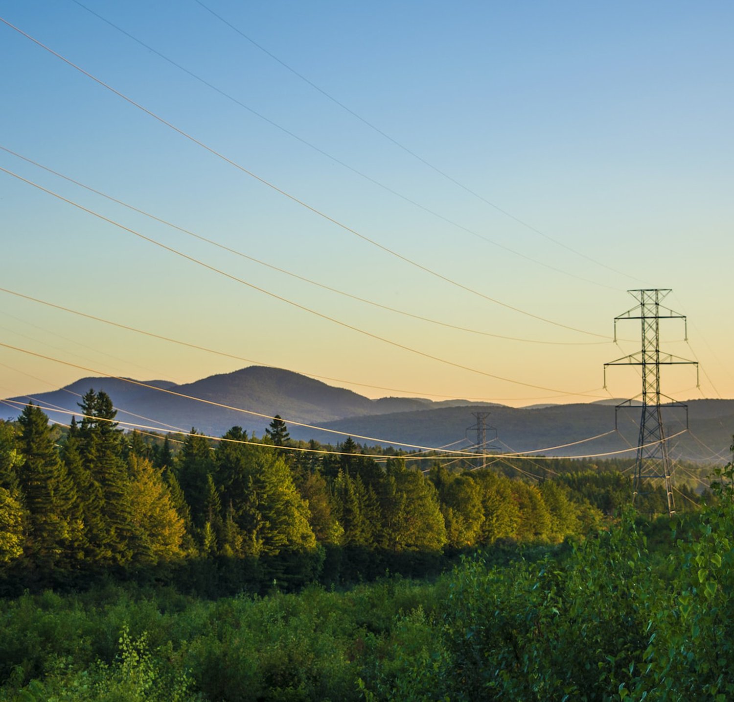 Signatories COP29 Global Energy Storage & Grids Pledge - Global ...